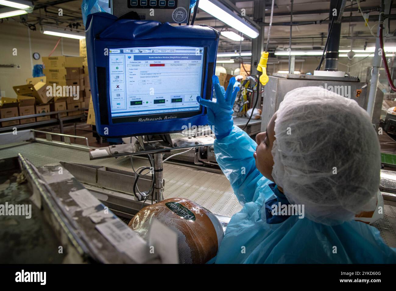 Turkey inspection and production at a U.S. poultry processor Stock ...
