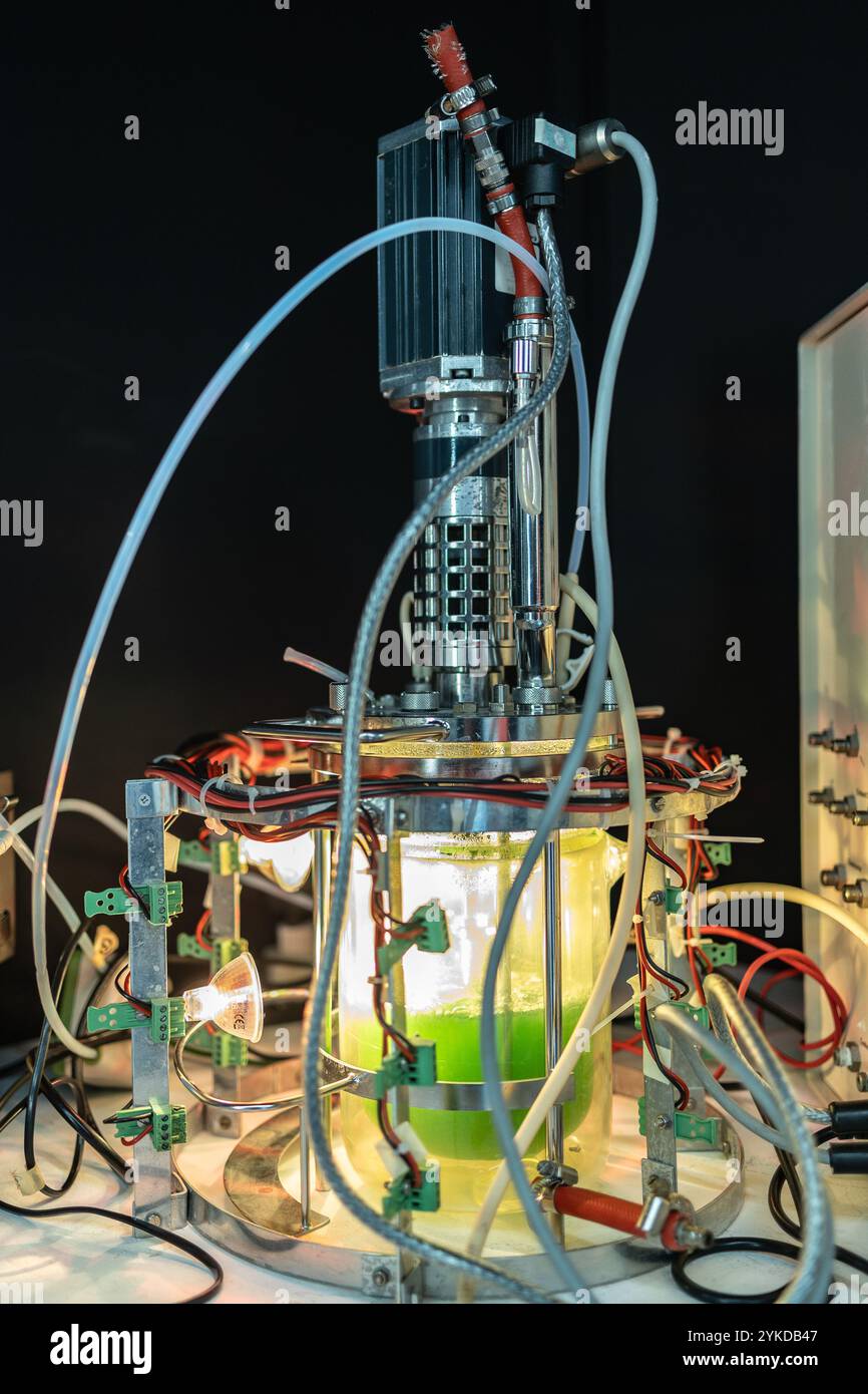 Biorat Regenerative Life Support System Simulator - Space Astronauts Missions Stock Photo - Alamy