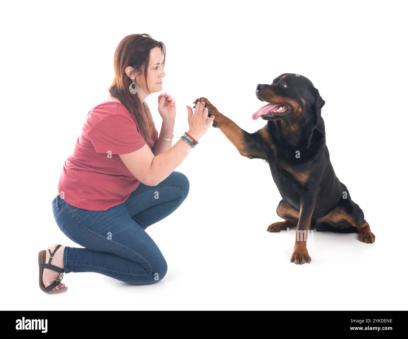 Large hand pet owner hi-res stock photography and images - Alamy