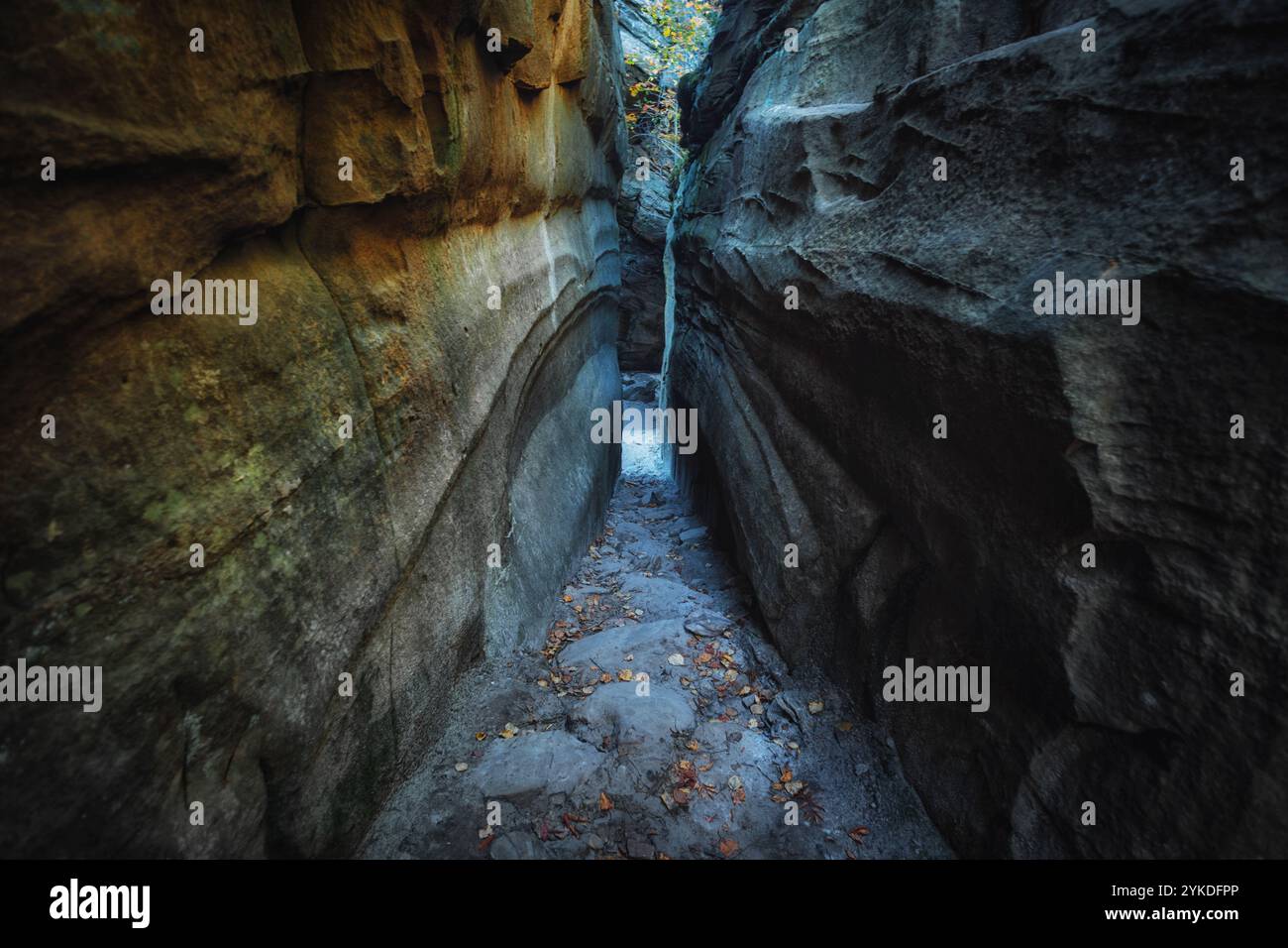A tranquil narrow canyon features smooth sandstone walls, with a gentle ...