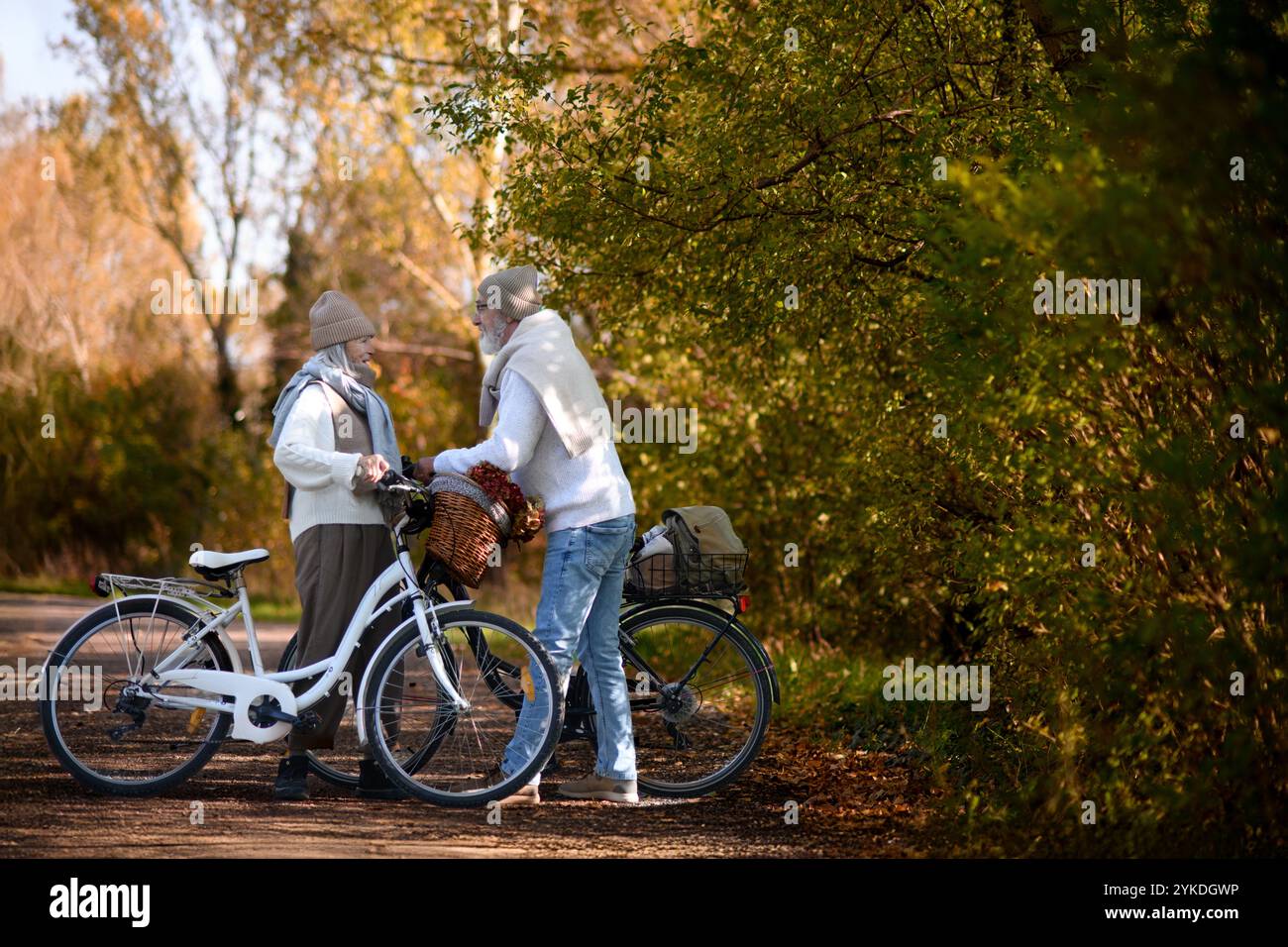 Elderly couple on walk in park, pushing their bikes side by side ...