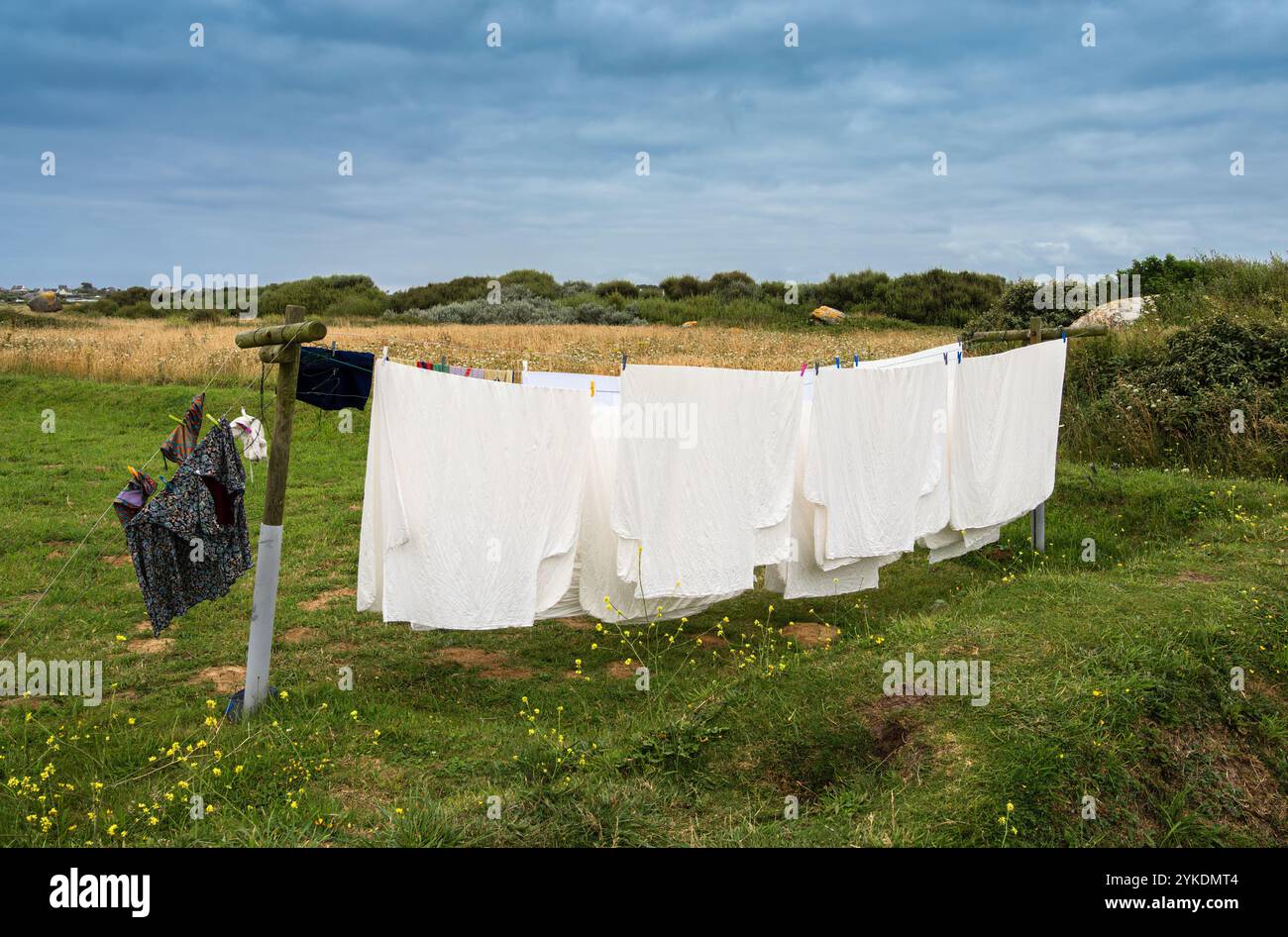 A line of white laundry hanging on a clothesline in a grassy field ...