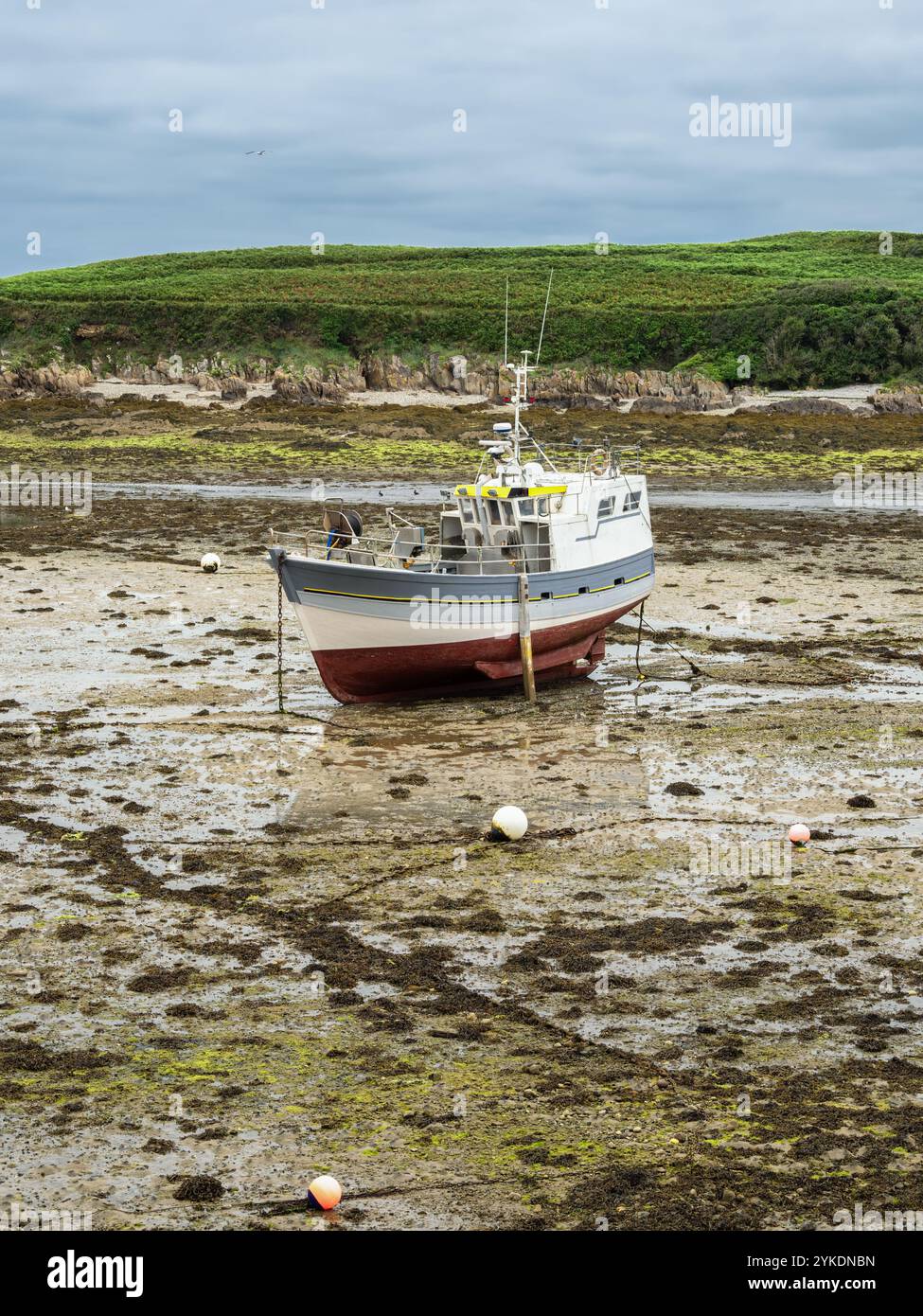 An isolated fishing boat stranded on a muddy shore of Conquet during ...