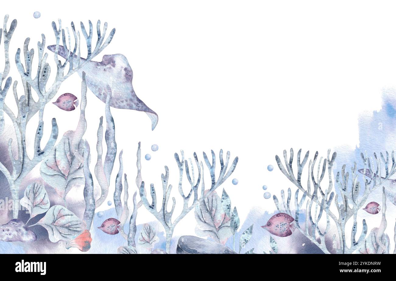 Aquatic monochrome blue banner with seaweeds and ocean creatures on ...