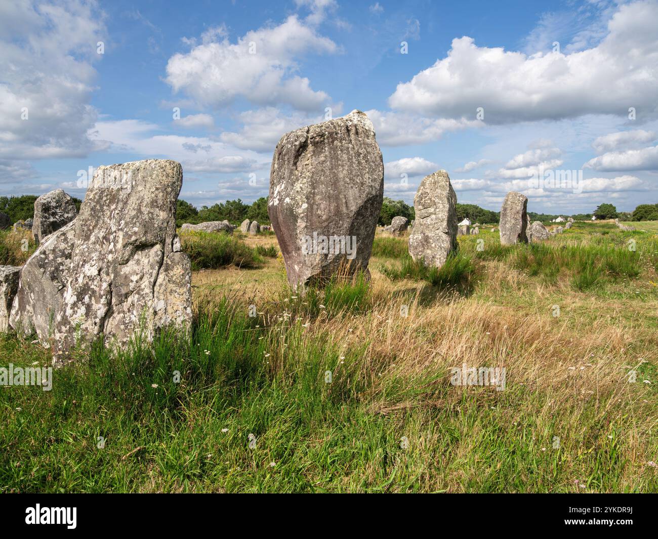 A scenic view of large menhirs - neolithic standing stones in Carnac ...