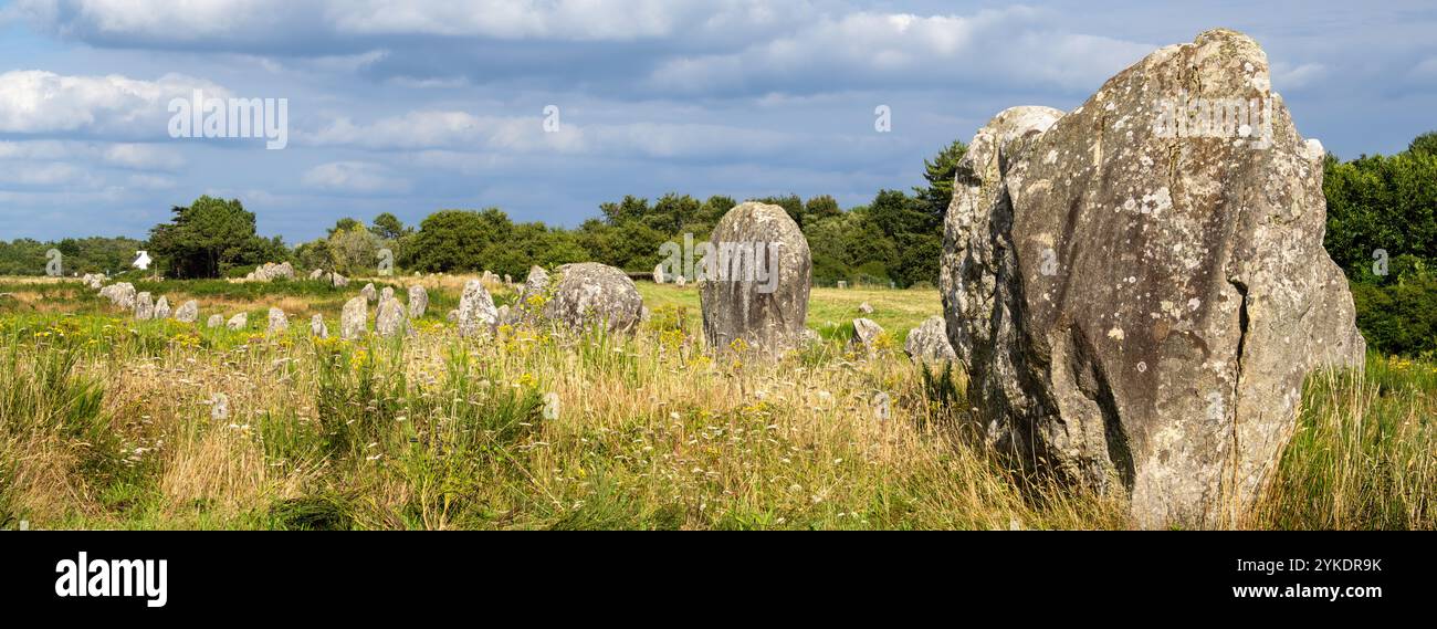 A scenic view of large menhirs - neolithic standing stones in Carnac ...