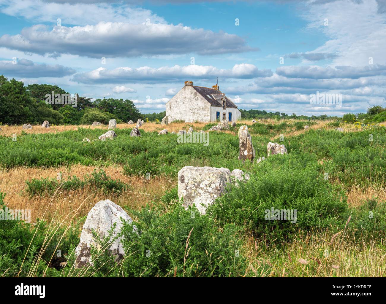 A scenic view of large menhirs - neolithic standing stones in Carnac ...