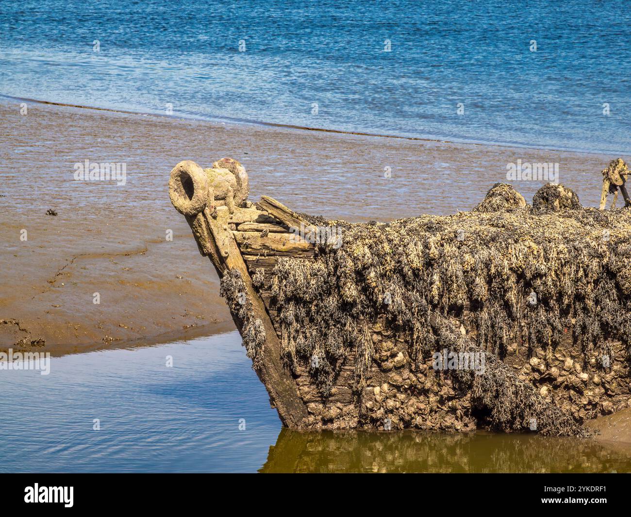 Abandoned Boat Covered in Seaweed on the beach of Lanester-Kerhervy ...
