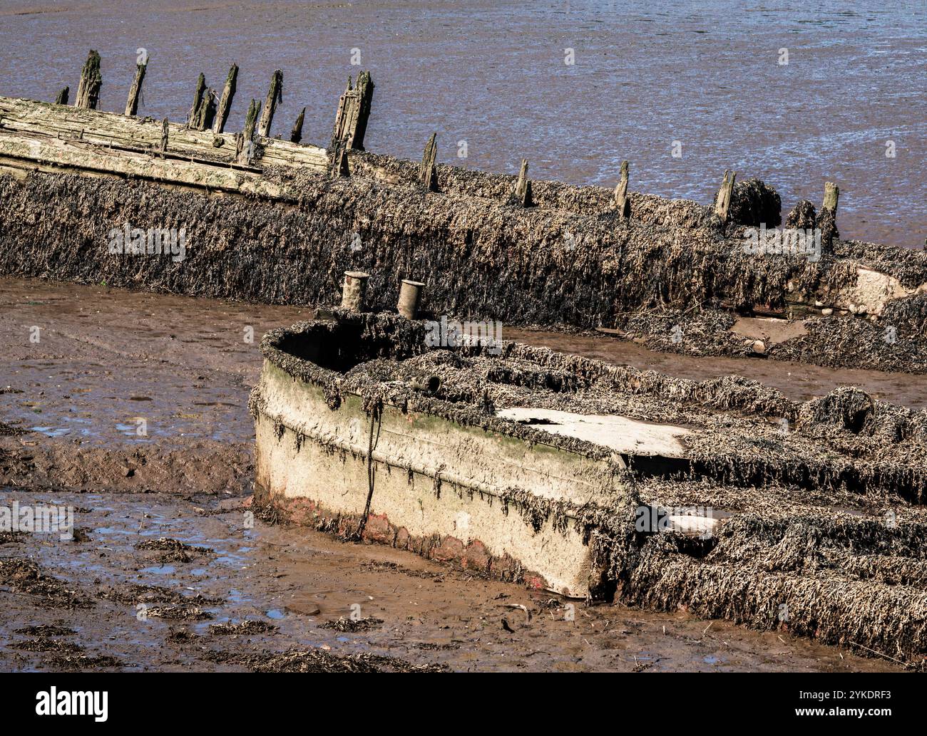 Old, decaying shipwrecks partially submerged in muddy water at low tide ...