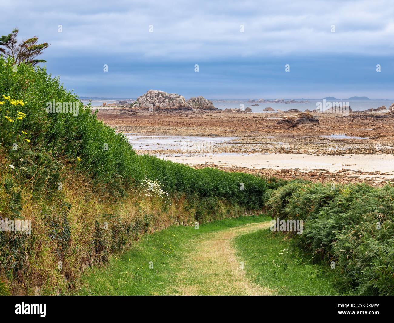 A scenic coastal pathway leading to a rocky beach. Lush green hedges ...