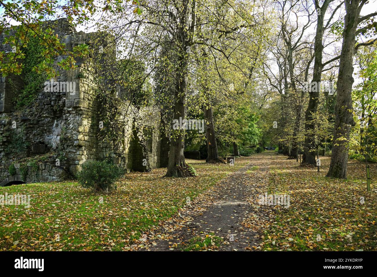 Ribble valley autumn hi-res stock photography and images - Alamy