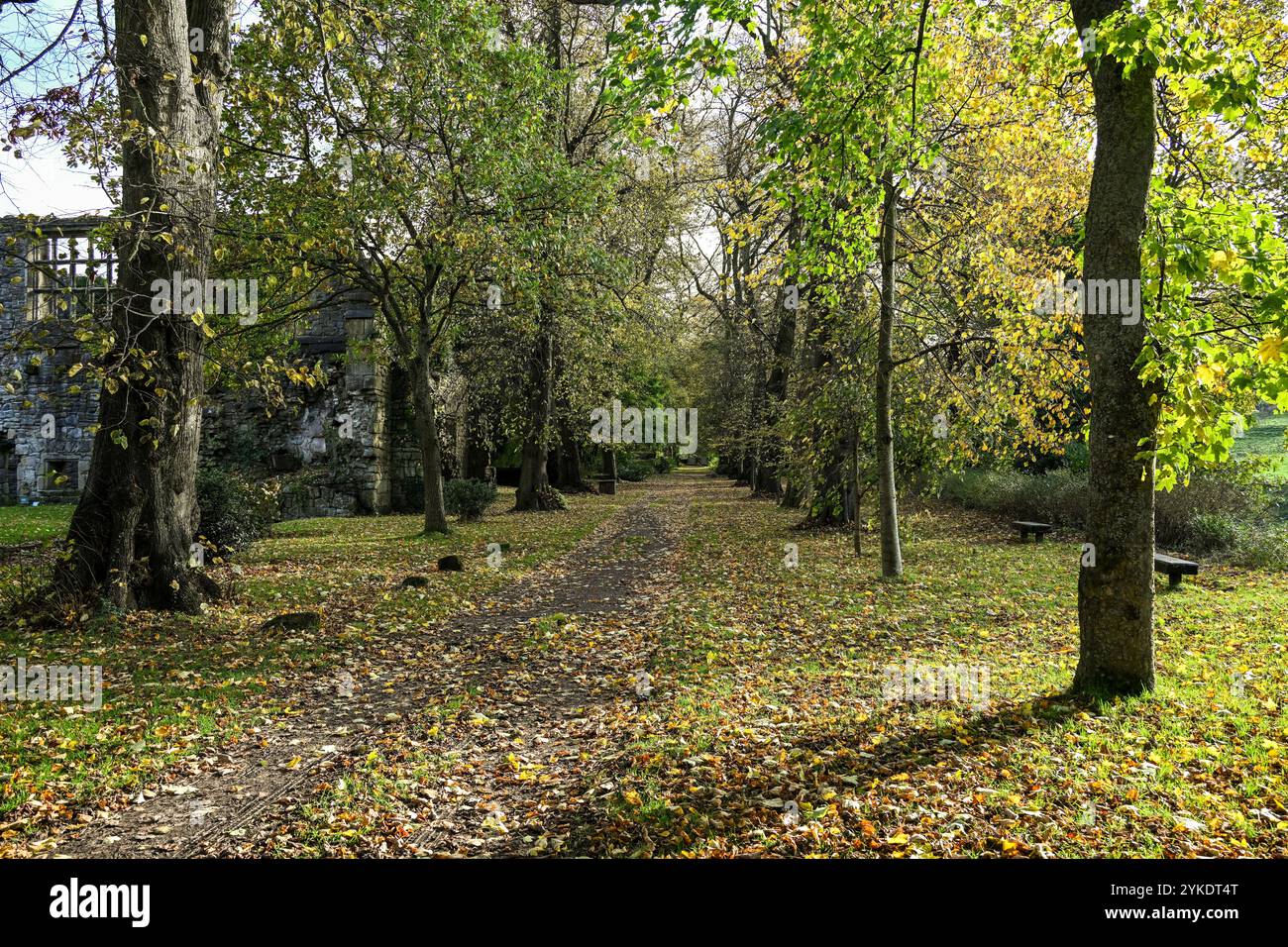 Ribble valley autumn hi-res stock photography and images - Alamy