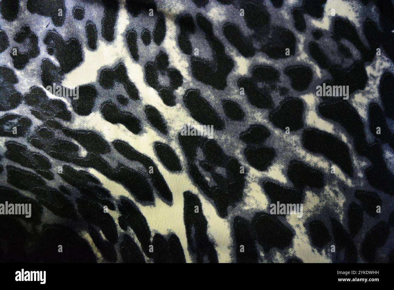 Things, objects with unusual backgrounds. Beautiful leopard black and ...