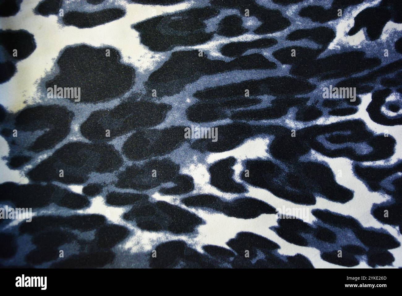 Things, objects with unusual backgrounds. Beautiful leopard black and ...