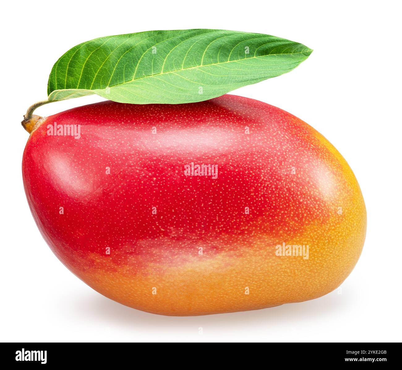 Ripe mango fruit with red-yellow skin and leaf isolated on white ...