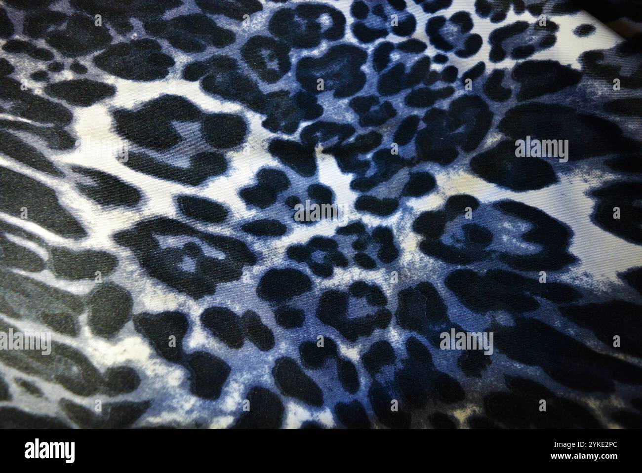Things, objects with unusual backgrounds. Beautiful leopard black and ...