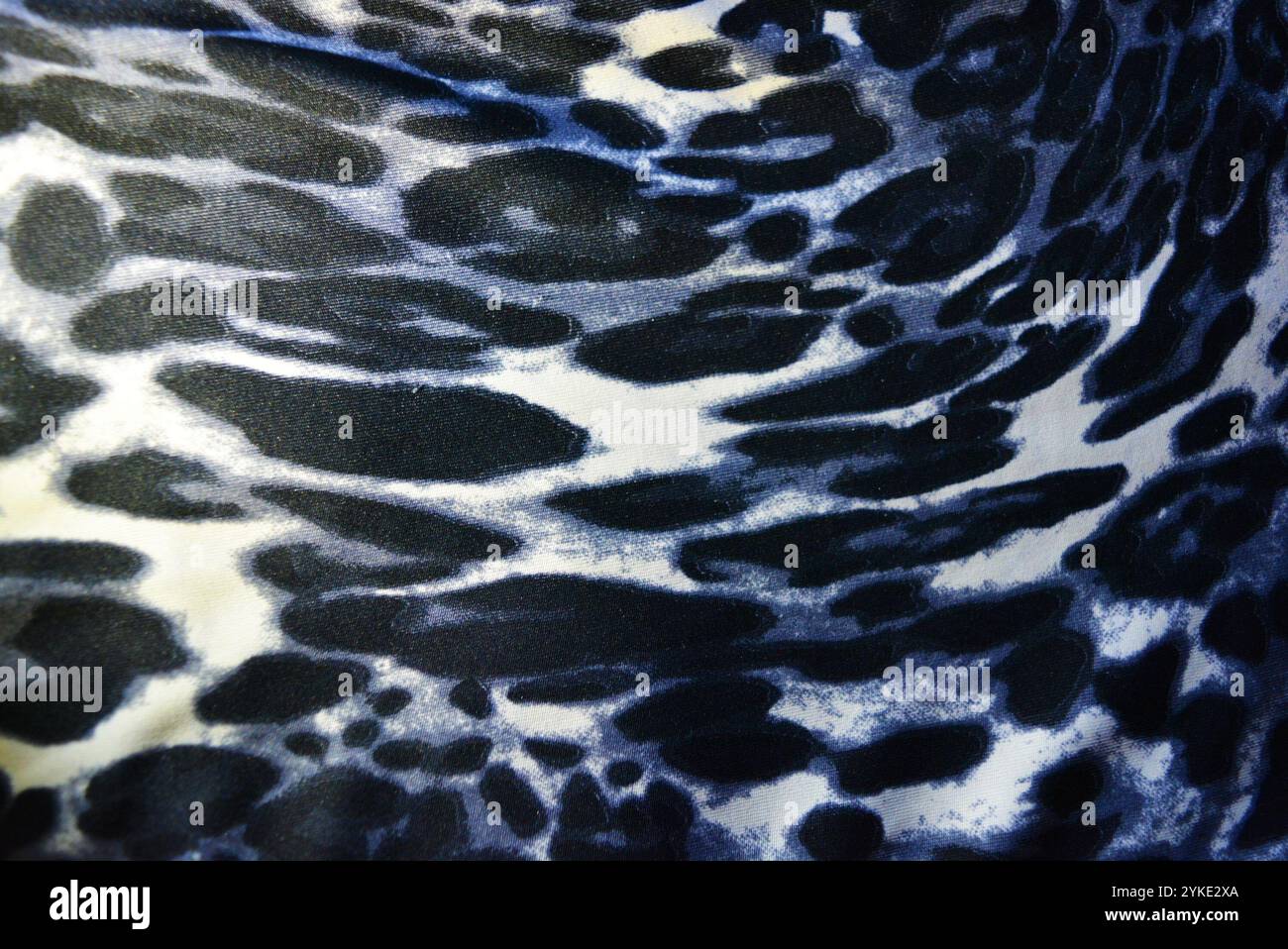 Things, objects with unusual backgrounds. Beautiful leopard black and ...