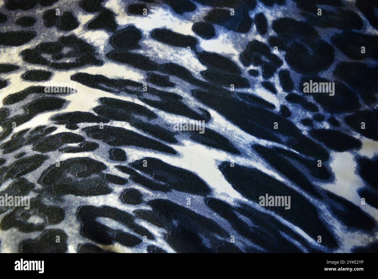 Things, objects with unusual backgrounds. Beautiful leopard black and ...