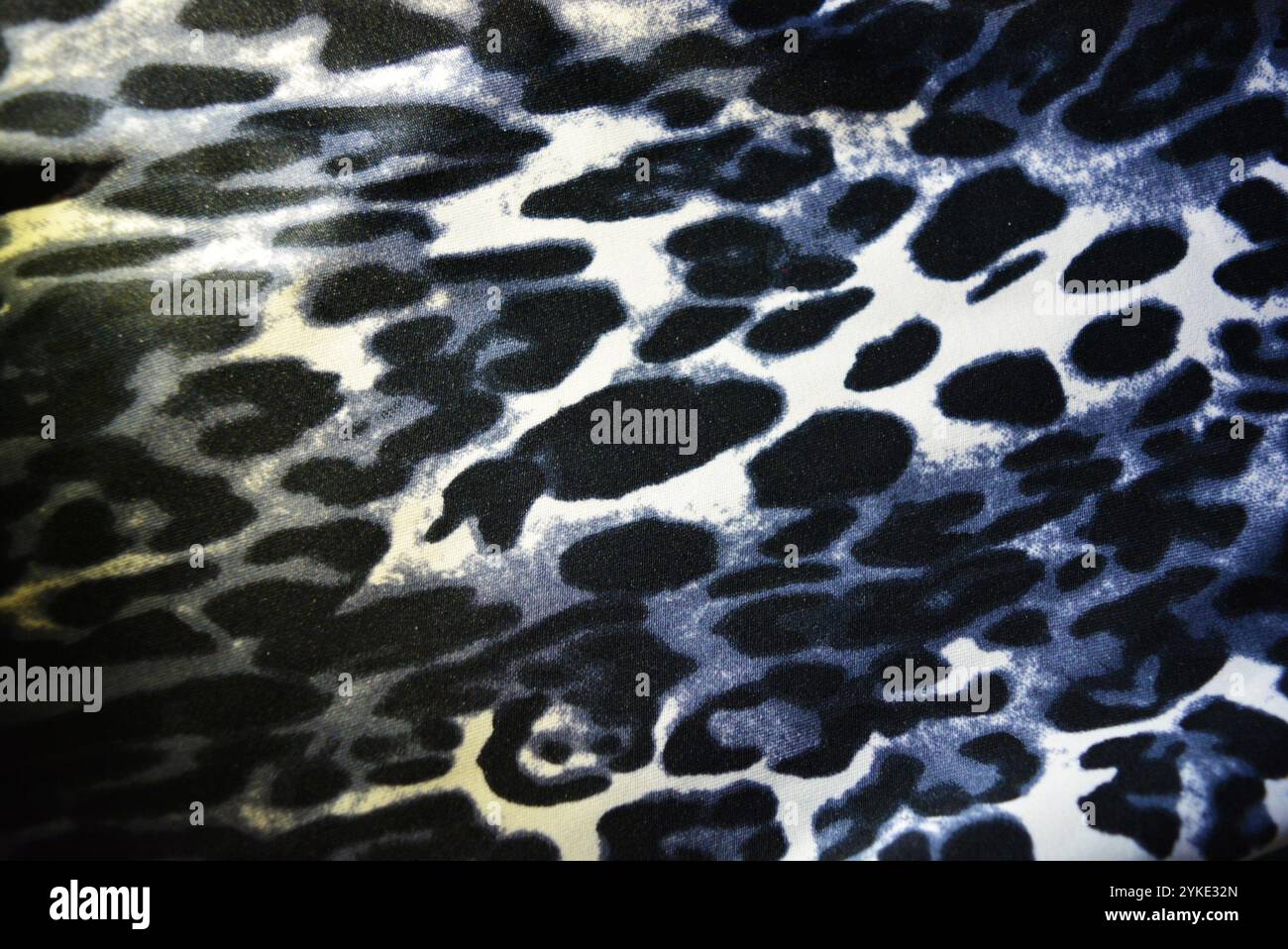 Things, objects with unusual backgrounds. Beautiful leopard black and ...