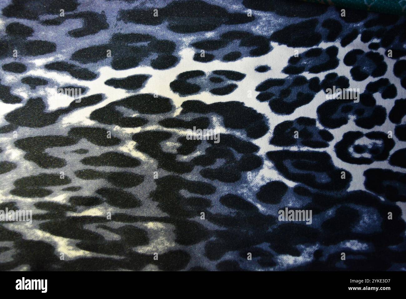 Things, objects with unusual backgrounds. Beautiful leopard black and ...