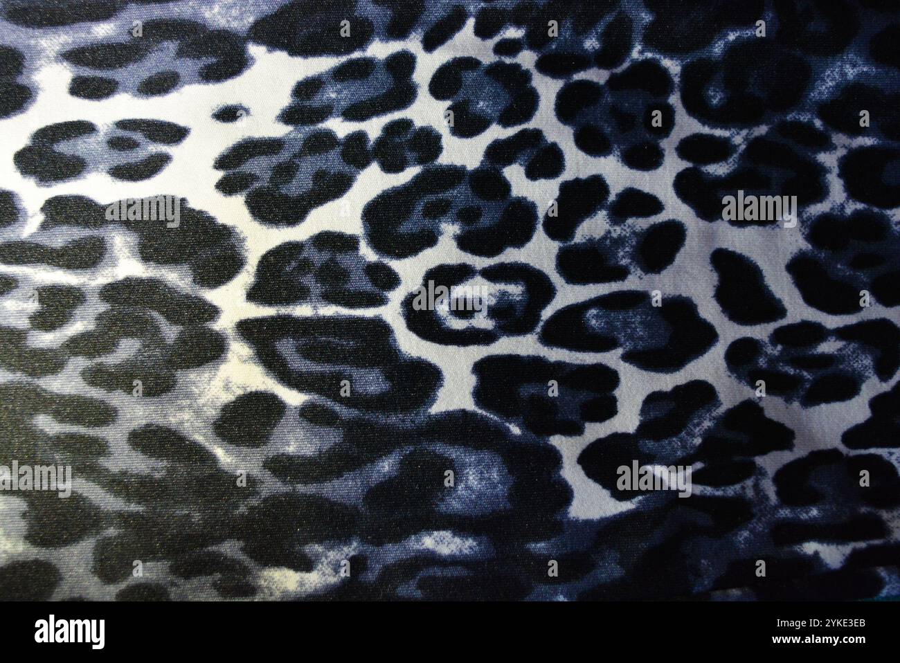 Things, objects with unusual backgrounds. Beautiful leopard black and ...