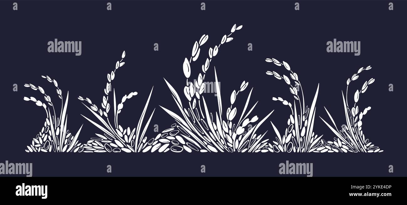 Wild rice border. Vector different white grains, texture field, plant ...