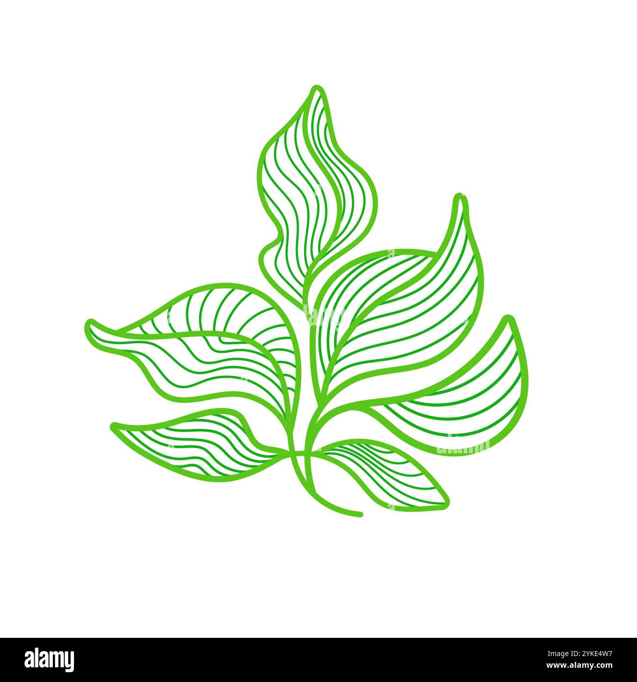 Cinquefoil vector vectors hi-res stock photography and images - Alamy