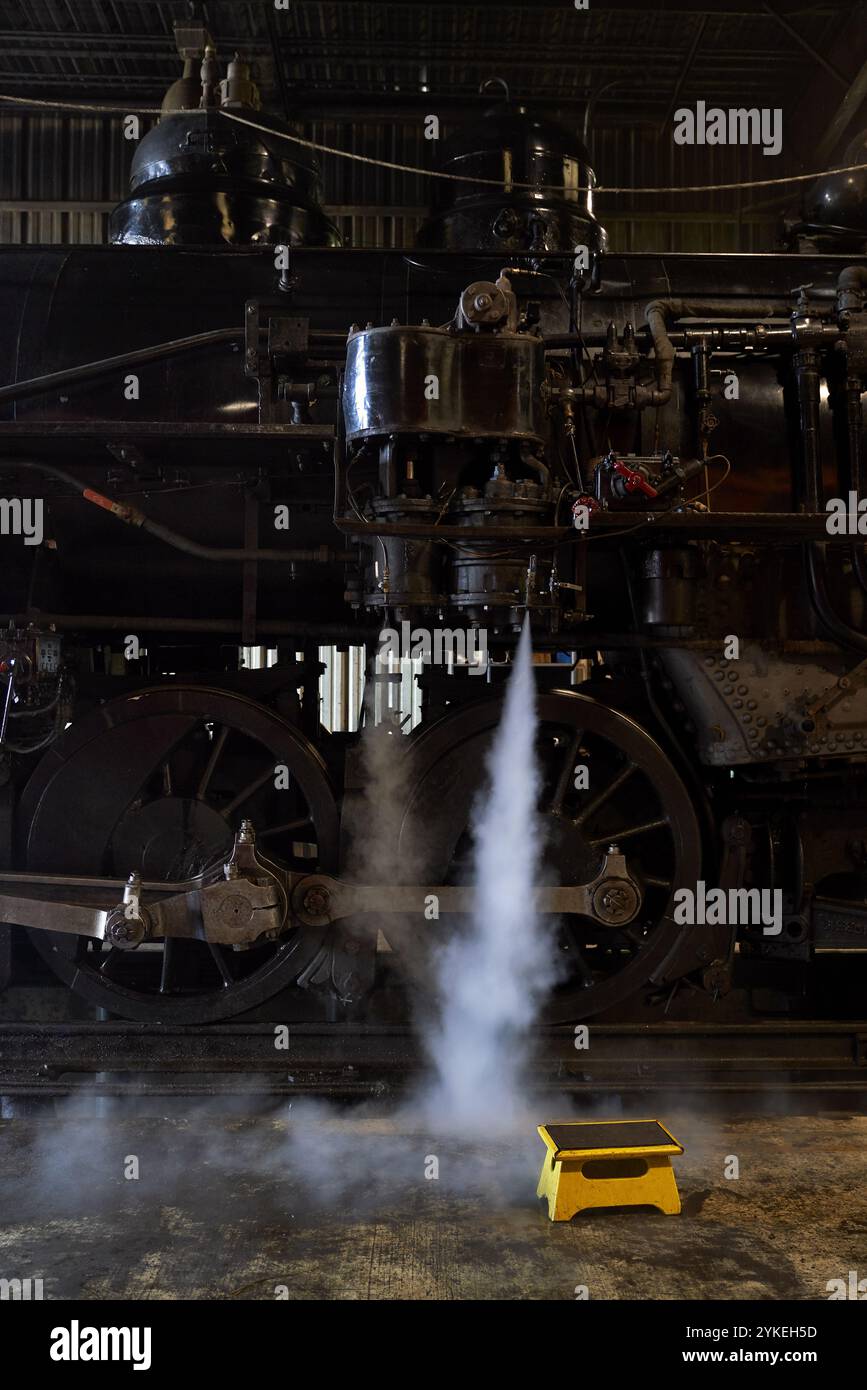 A powerful steam locomotive stands ready inside a historic railway ...