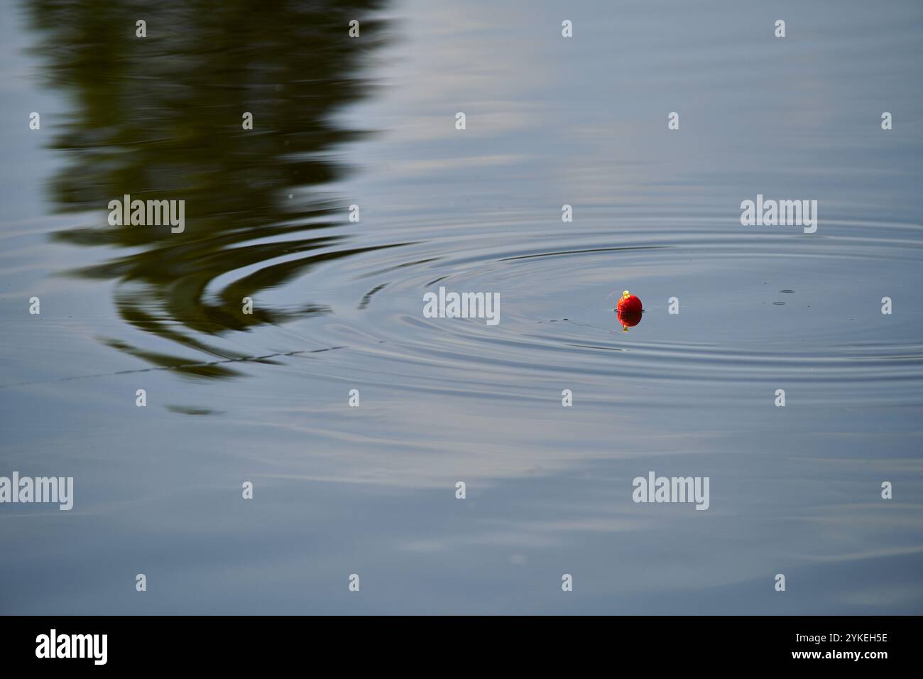 Red fishing bobber in water Stock Photo - Alamy