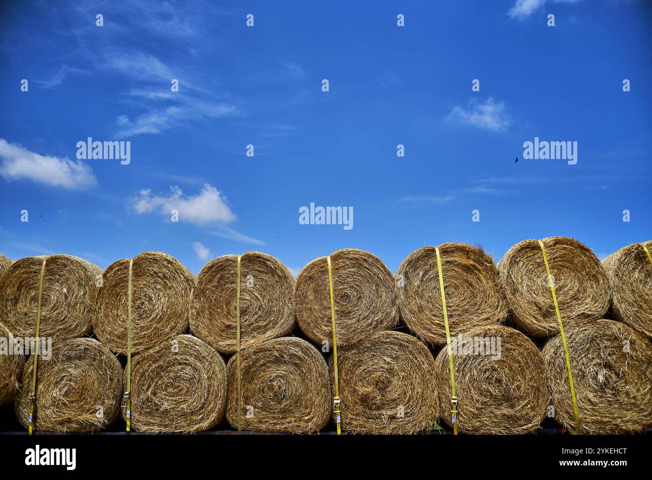 Organic blue round flat hi-res stock photography and images - Alamy