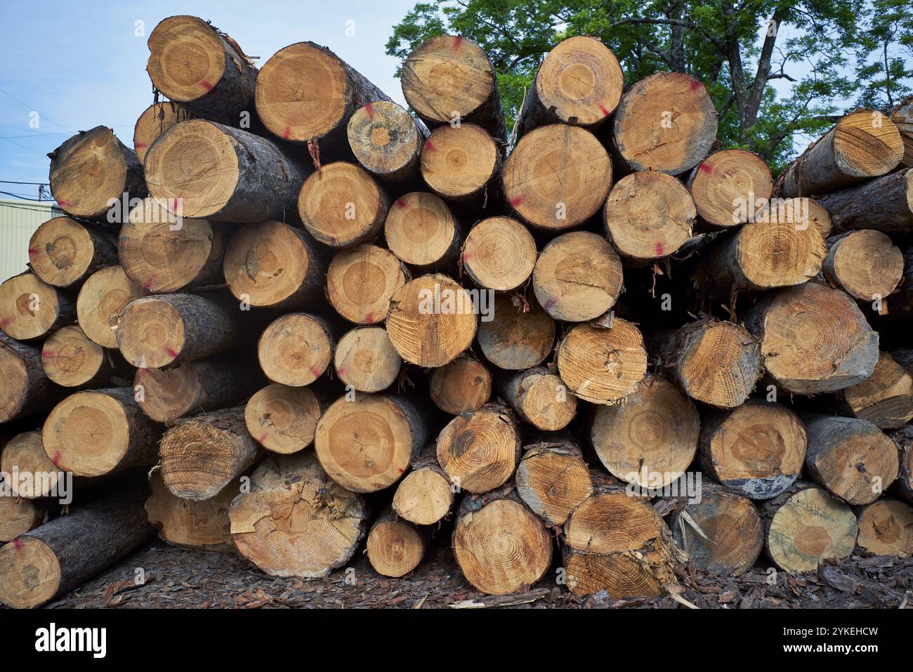 Lumber yard united states hi-res stock photography and images - Alamy