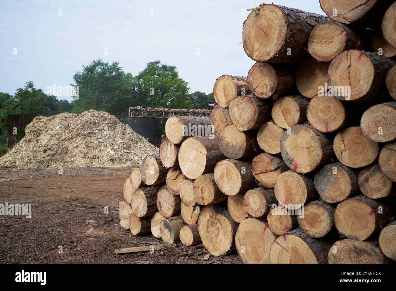 Lumber yard united states hi-res stock photography and images - Alamy