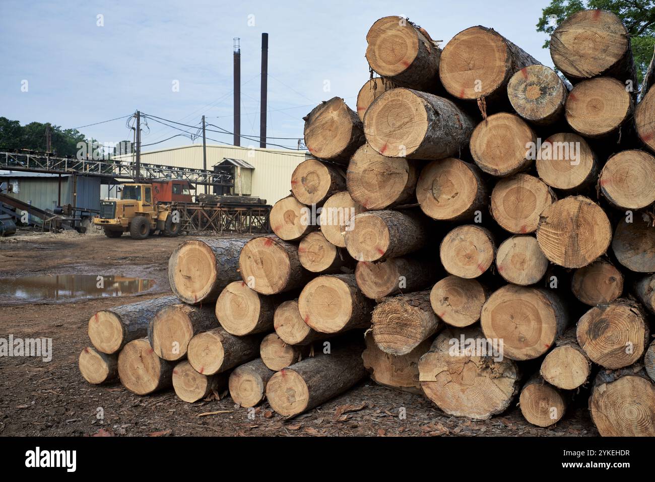Lumber industry texas hi-res stock photography and images - Alamy