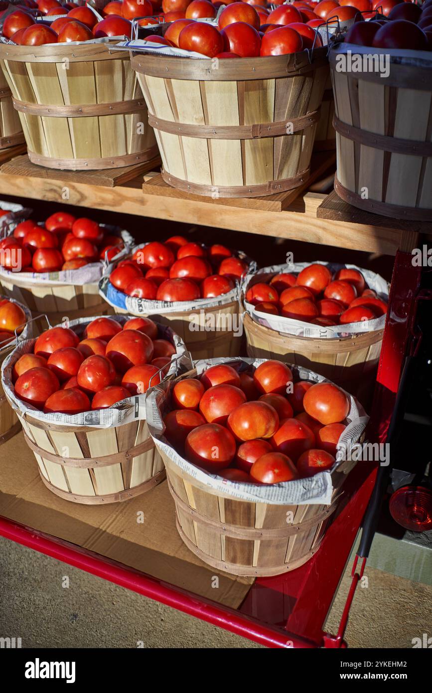 Texas food lovers hi-res stock photography and images - Alamy