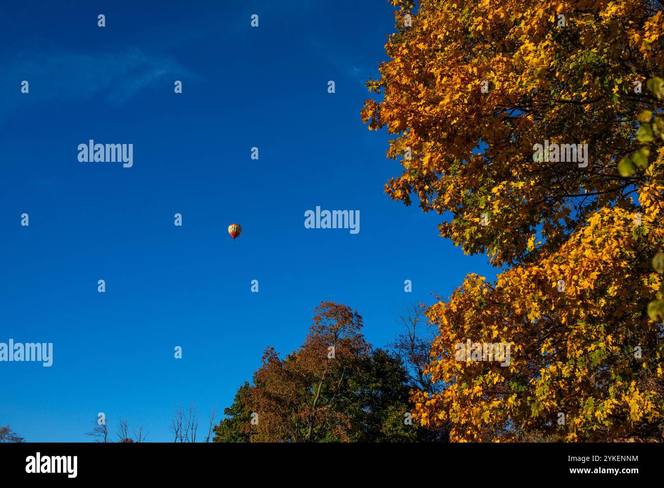 Hot air balloon in a blue sky with fall foliage Stock Photo - Alamy