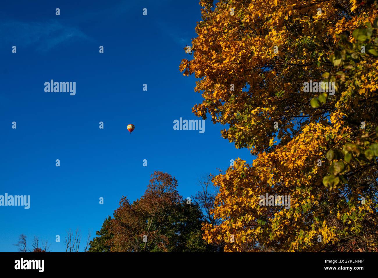 Hot air balloon in a blue sky with fall foliage Stock Photo - Alamy
