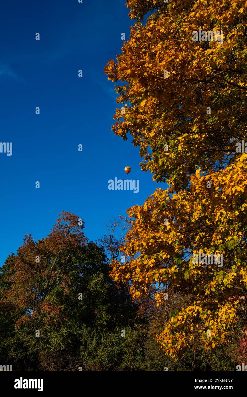 Hot air balloon in a blue sky with fall foliage Stock Photo - Alamy