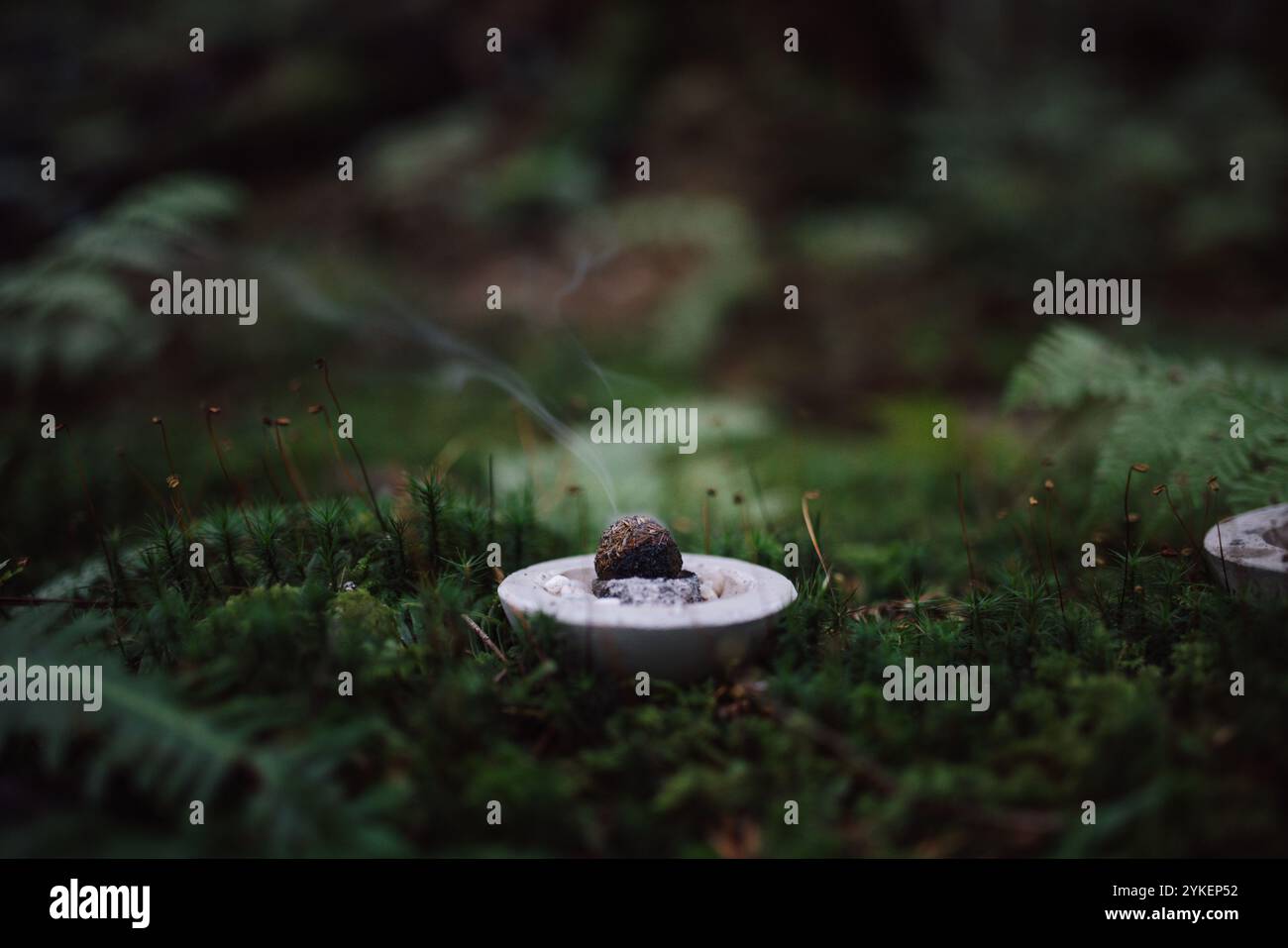 Smudging ceremony hi-res stock photography and images - Alamy