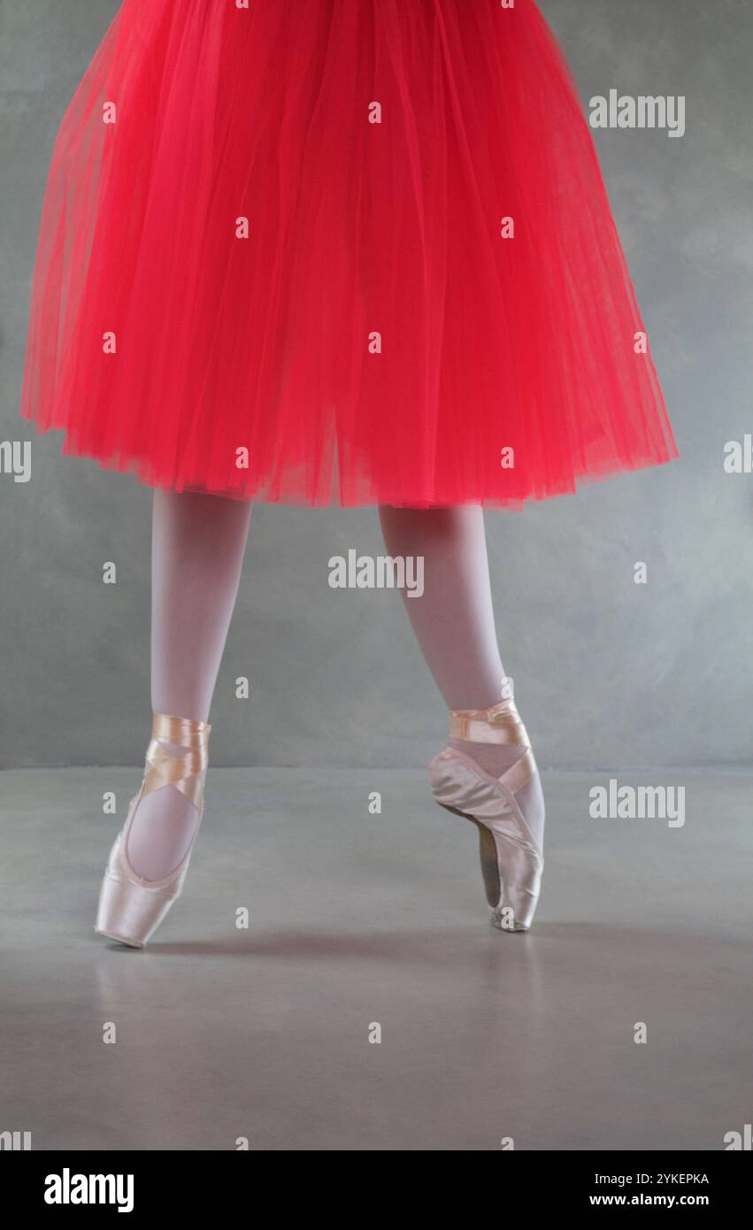 ballerina feet with pointe shoes on grey background and coral tutu ...