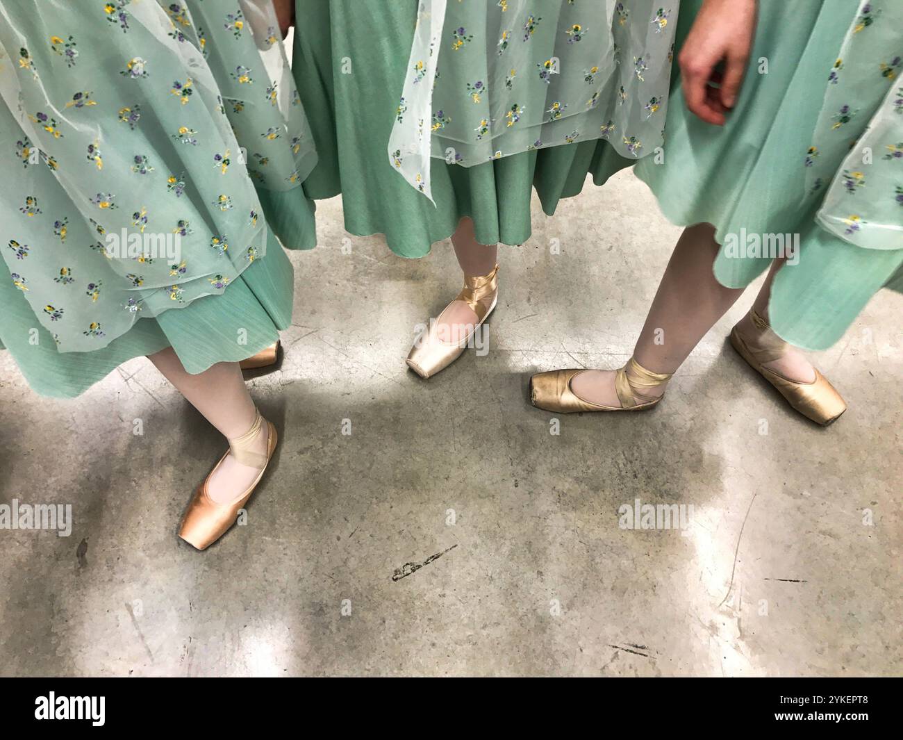 legs of dancer in costume and pointe shoes in the backstage Stock Photo ...