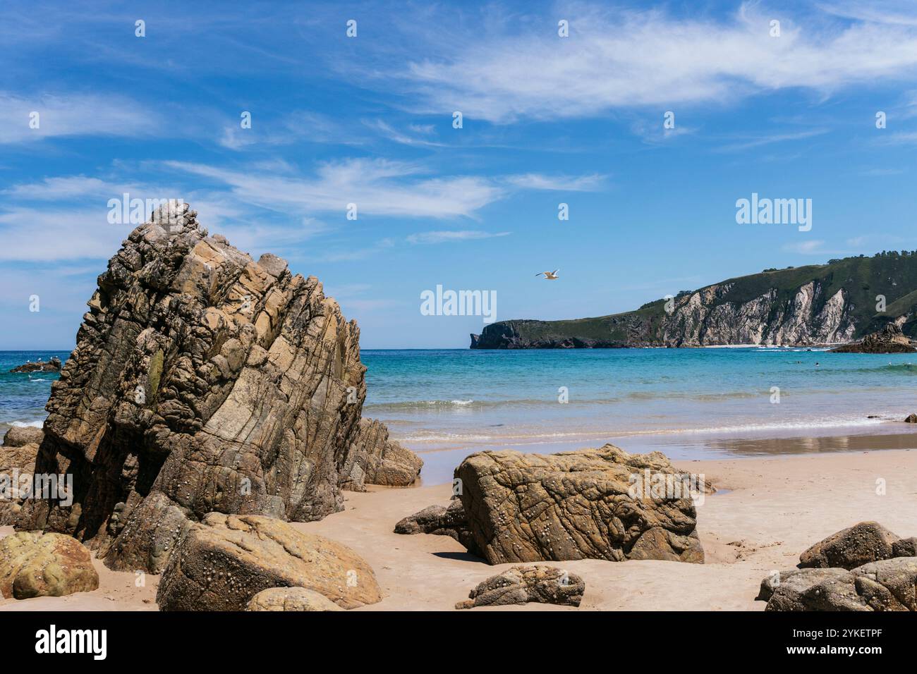 Landscape seagull hi-res stock photography and images - Alamy