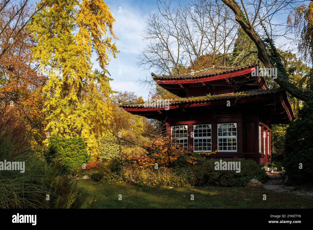 teahouse at the Japanese garden in Leverkusen, autumn, North Rhine ...