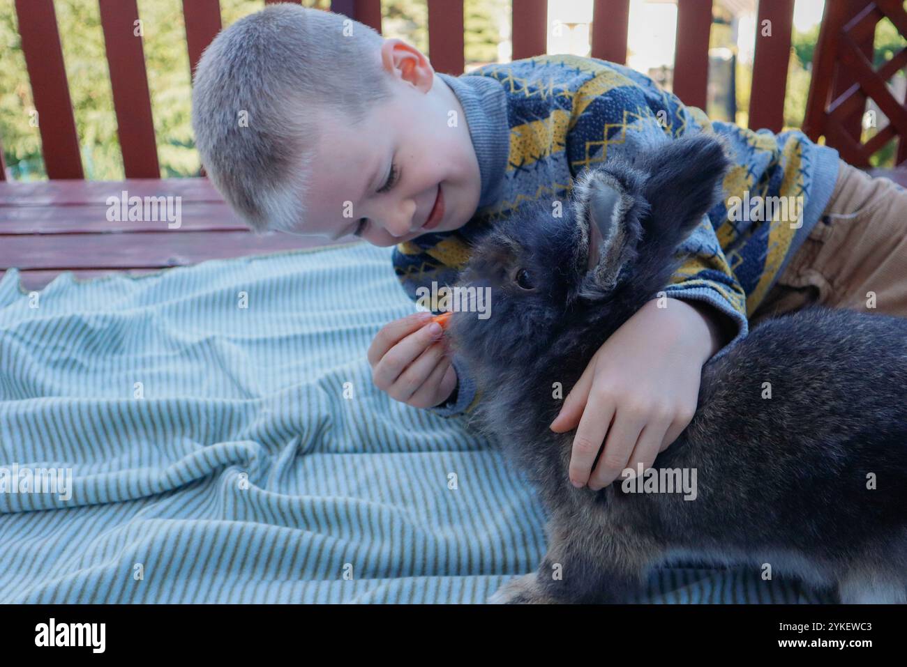 Boy and rabbit bonding on the terrace with treats Stock Photo - Alamy