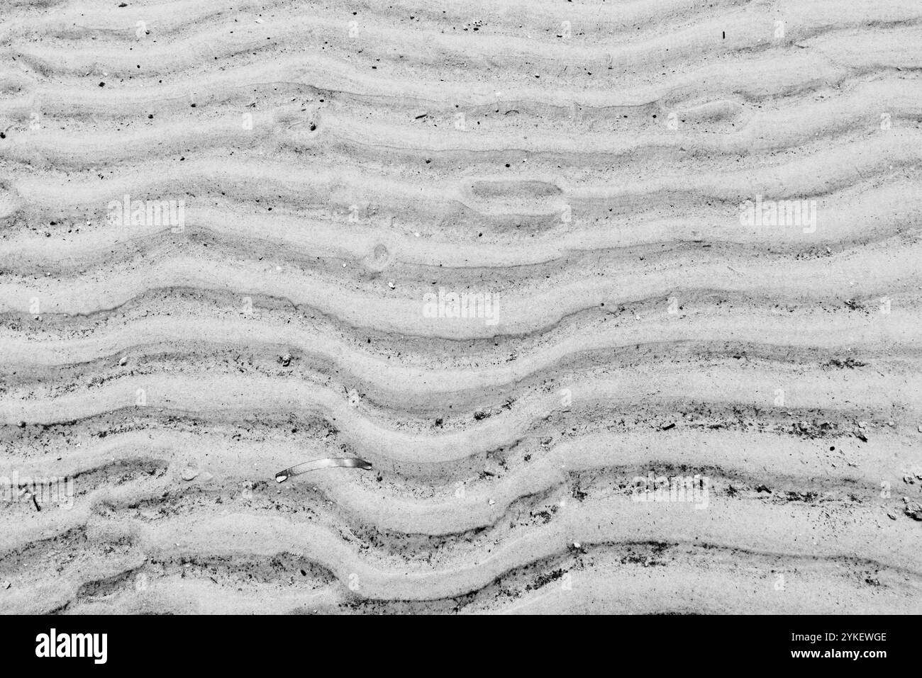 sand waves under the sea Stock Photo - Alamy