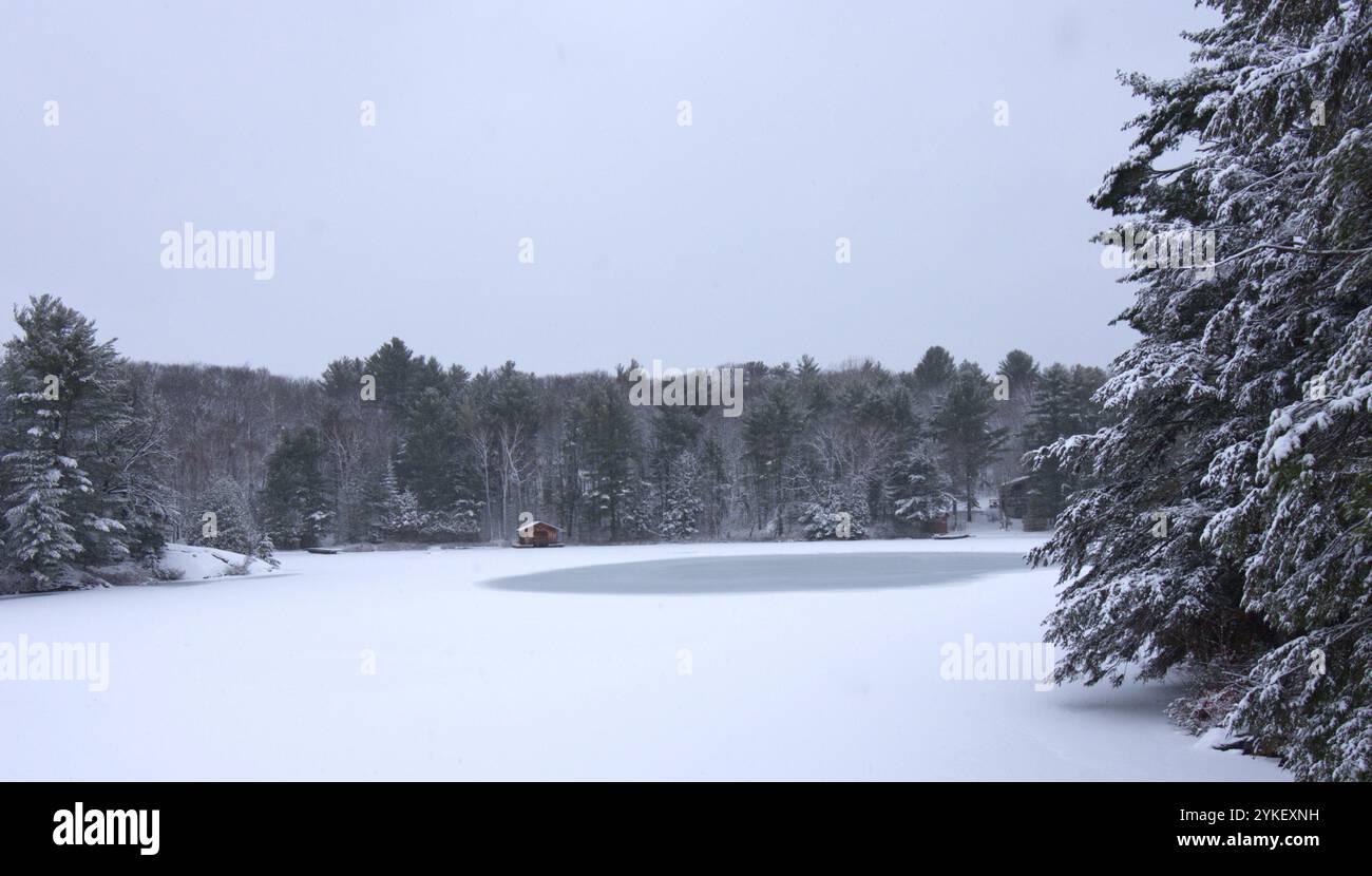 Frozen lake winter trees hi-res stock photography and images - Alamy