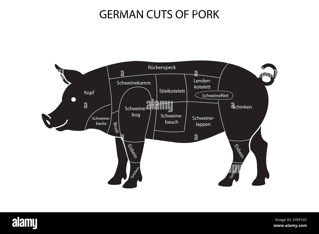 Illustrated chart showing labeled German pork cuts Stock Vector Image ...