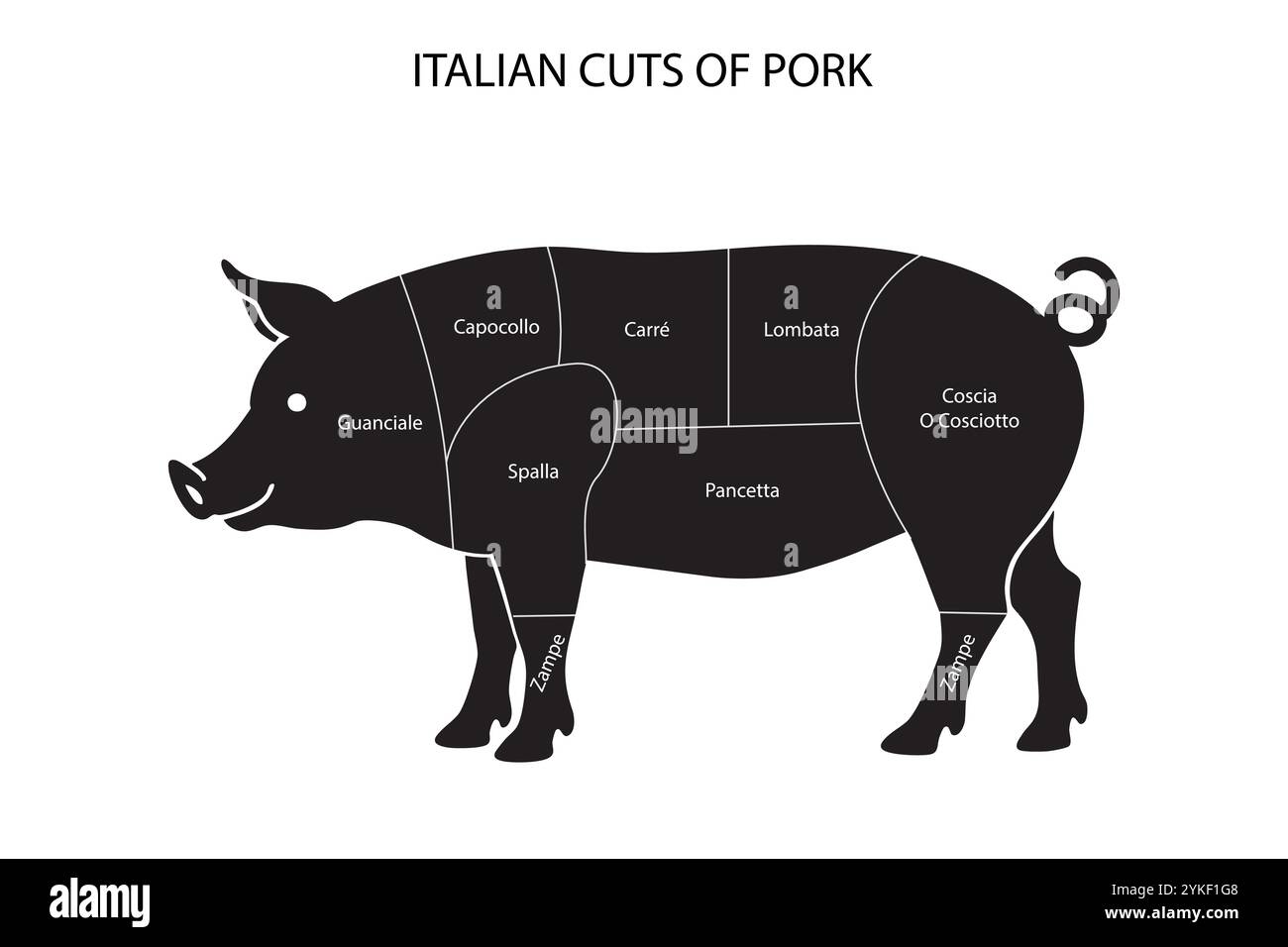 Illustrated chart showing labeled Italian pork cuts Stock Vector Image ...