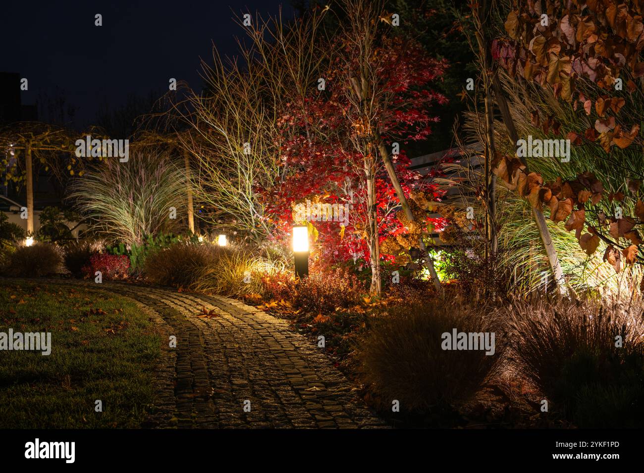 A winding garden path features soft lighting, highlighting vibrant ...