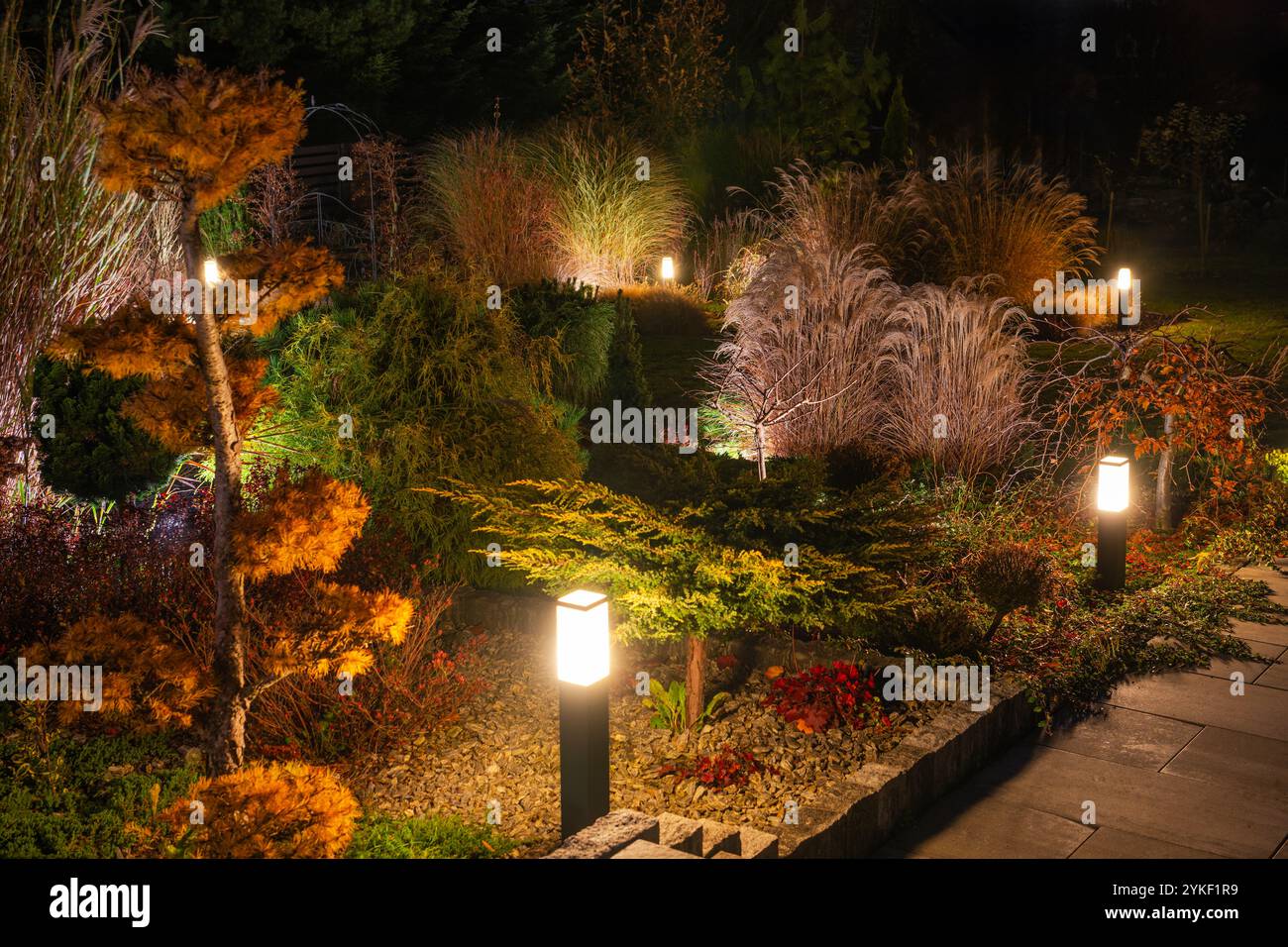 A stunning garden is softly lit at night, showcasing diverse plants and ...