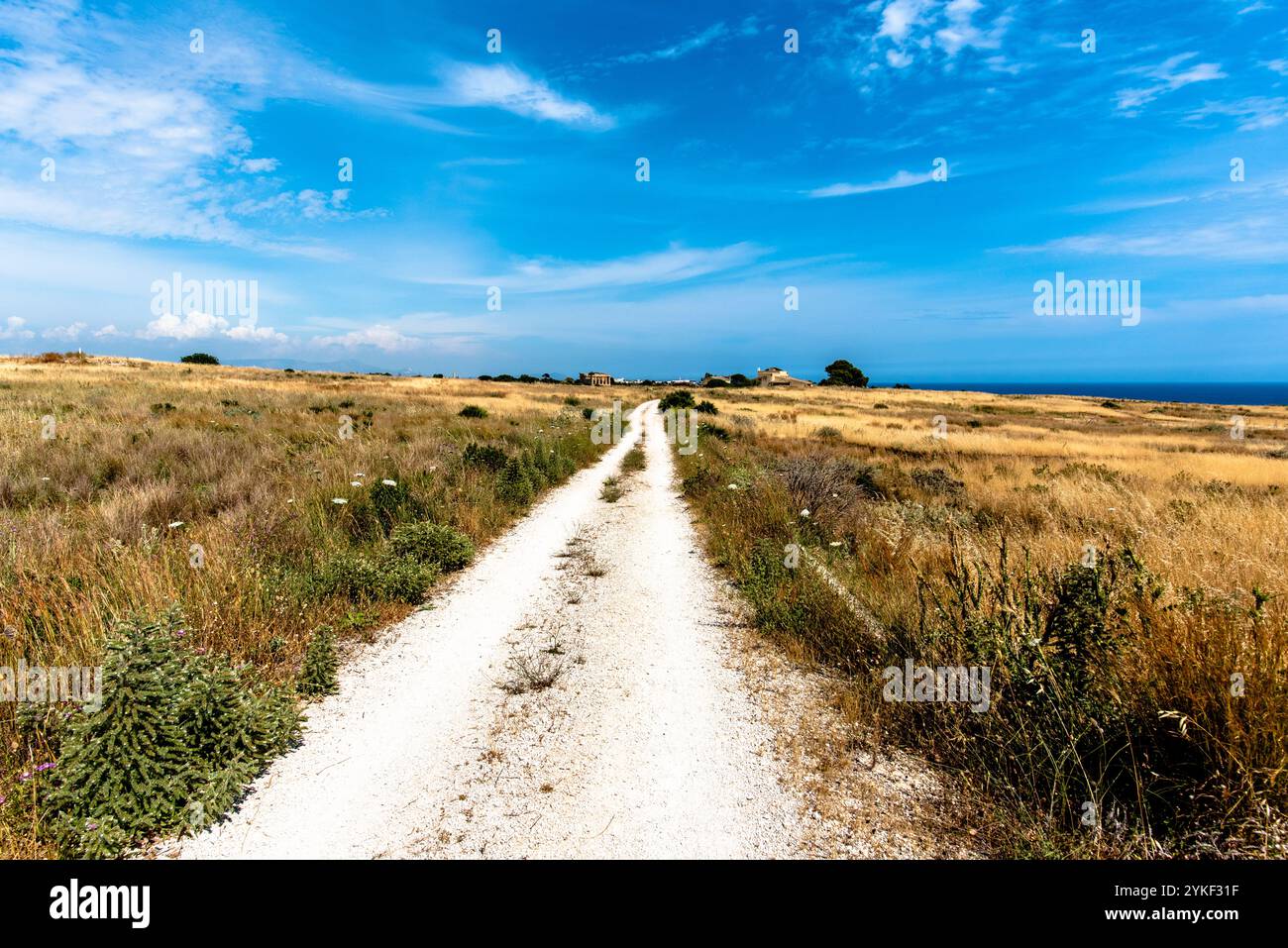 country road on the Sicilian hills of Selinunte in Trapani Sicily Italy ...